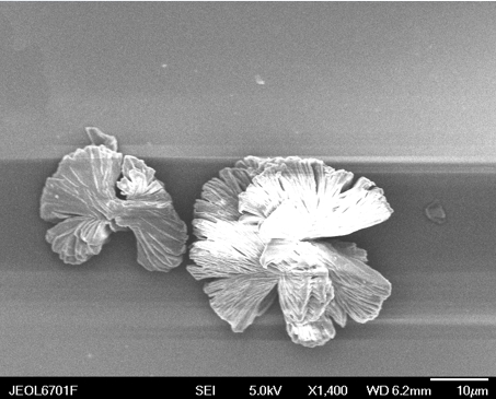 Devolux Aesthetic Injectable Poly-l-Lactic Acid Filler - Dermax Aesthetic