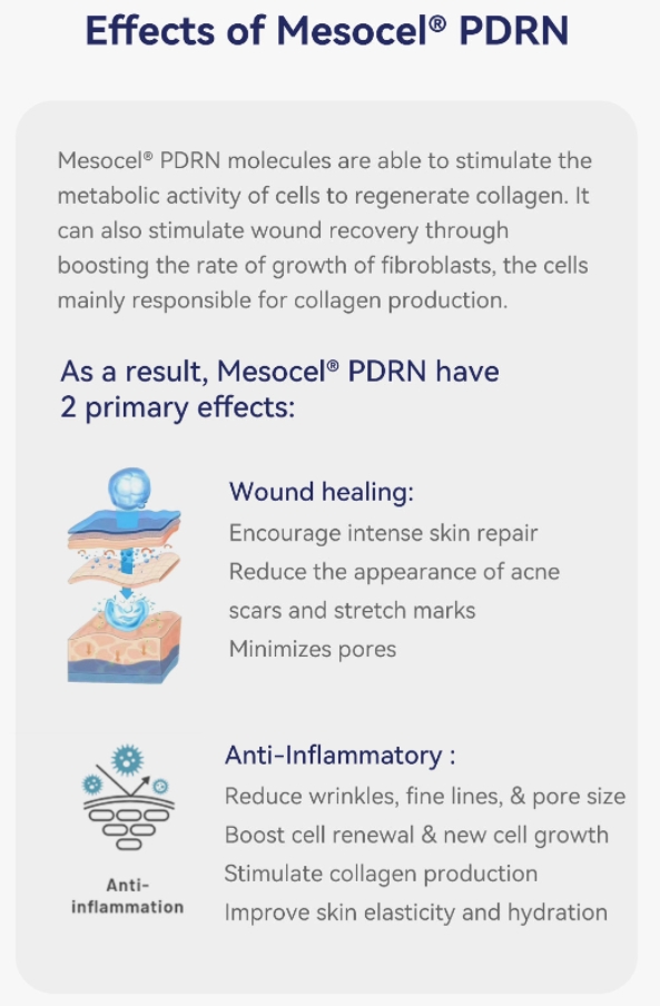 Mesocel PDRN + HA Filler - Dermax