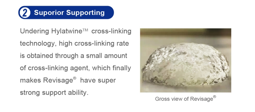 Revisage® Filler Smoocy 1ml Lip Filler - Dermax