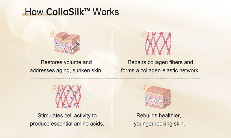 Buy CollaSilk™: Premium Bovine Collagen Injections Supplier - Dermax